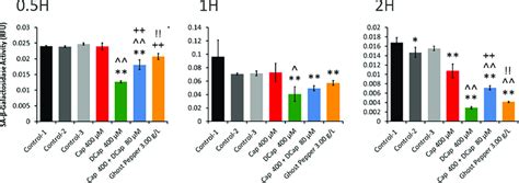 Sa Beta Gal Activity In Human Renal Adenocarcinoma Cells At 0 5 1 And Download Scientific