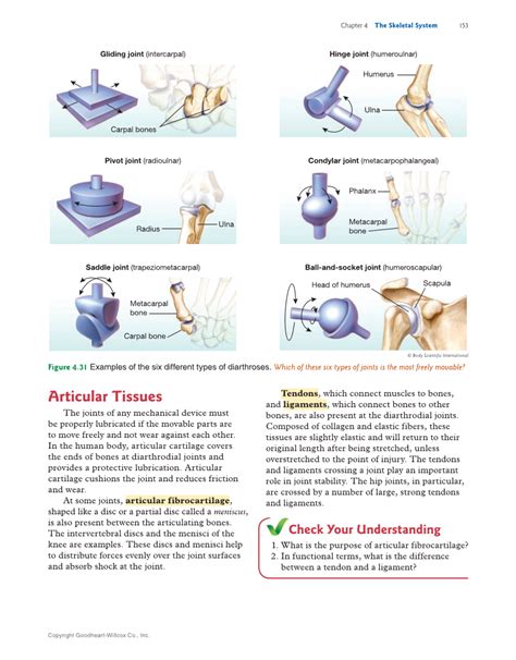 Introduction To Anatomy And Physiology 2nd Edition Page 153