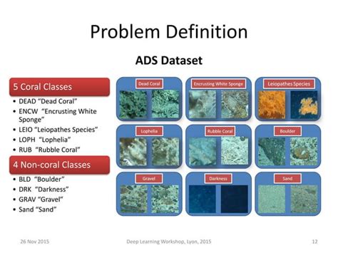 Underwater Sparse Image Classification Using Deep Convolutional Neural