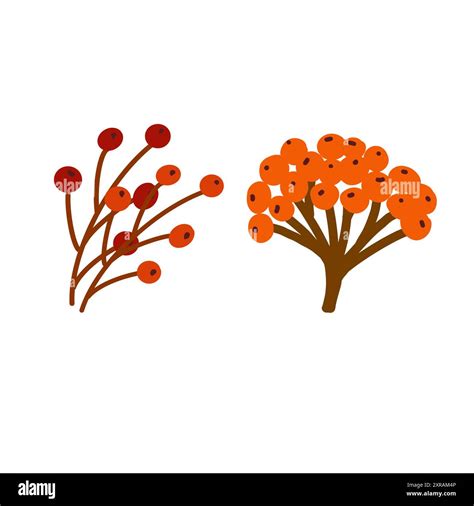 Two Clusters Bright Red Stock Vector Images Alamy