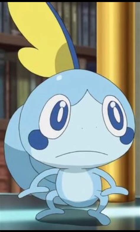 816 Sobble Screenshot Pokemon Art Pokemon Cute Pokemon