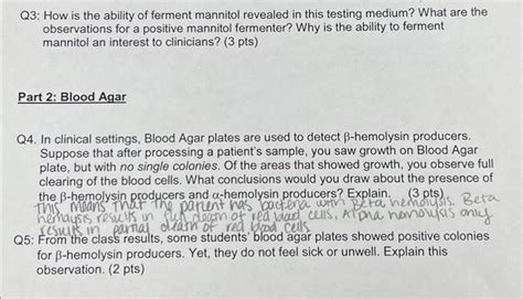 Solved Q3 How Is The Ability Of Ferment Mannitol Revealed