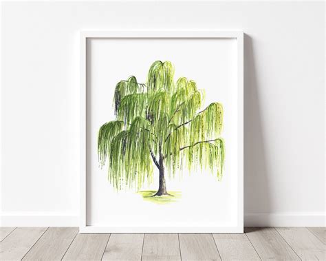 Printable Willow Tree Art Watercolor Weeping Willow Tree Print