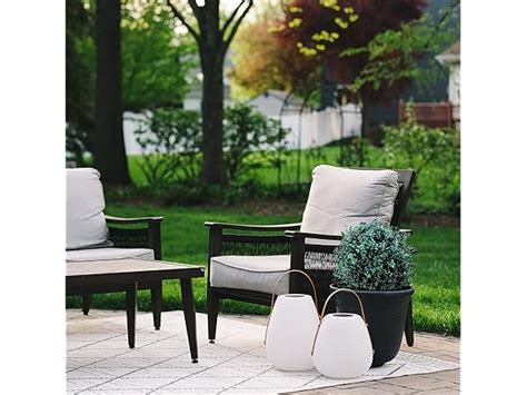 Botaro Tresil Set Of 2 Pre Potted 24