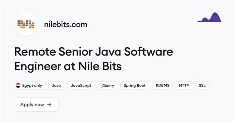 Himalayas On Linkedin Remote Senior Java Software Engineer Job At Nile Bits
