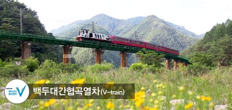 1박2일 기차여행 코스 추천 베스트10 해프릭스