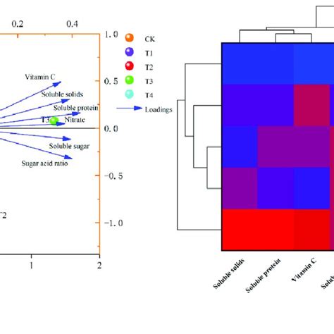 Principal Component Analysis A And Cluster Analysis B Of The Download Scientific Diagram