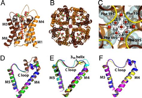 General Features A And B Monomer And Tetramer Views Of Haqp4 In Download Scientific