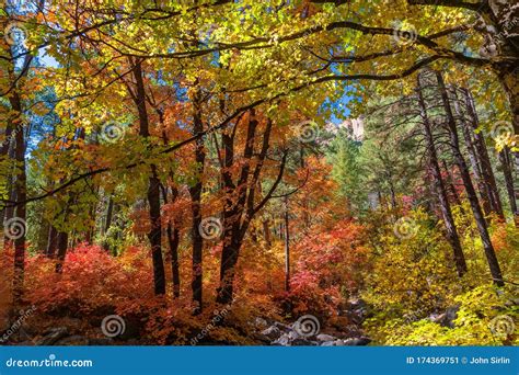 Fall Colors In The West Fork Of Oak Creek Canyon Arizona Stock Image