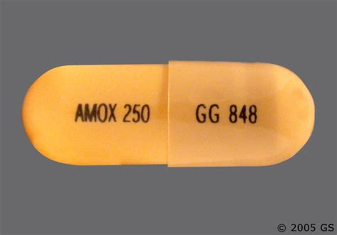 Amoxicillin Pill