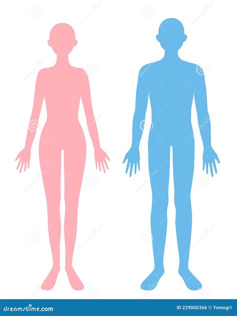 Ilustración Plana De Cuerpo Completo De Hombre Y Mujer Concepto De