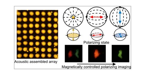 Acoustic Magnetic Tunable Liquid Crystal Microlens Arrays For