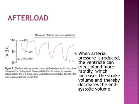 Cardiac Output Factors Responsible And Effecting Ppt