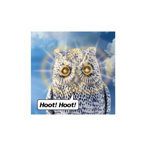 Motion Sensor Owl Jack