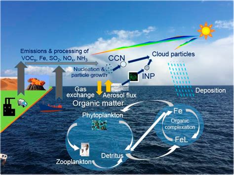Schematic Representation Of Marine Aerosol Feedback On Biogeochemical