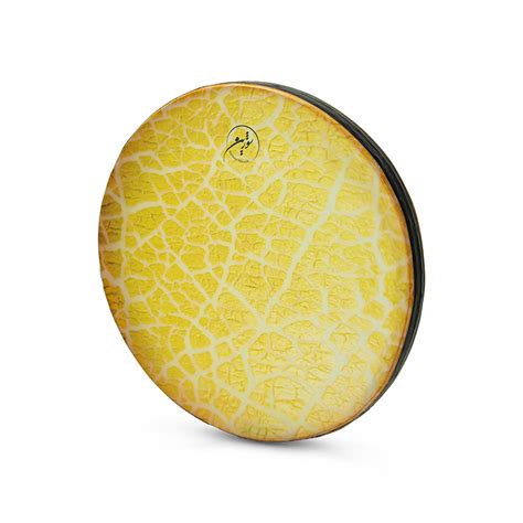 دف نوجوان سوژین مدل سراب مهلت تست 7 روزه سازکالا