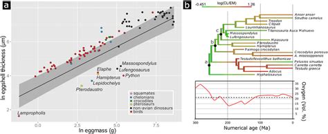 Relationship Between Eggshell Thickness And Egg Mass In Different Download Scientific Diagram