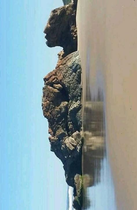 120 Petrified Giants Ideas Amazing Nature Nephilim Giants Nature