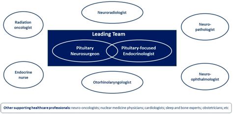 Multidisciplinary Team Care In Pituitary Tumours Pmc