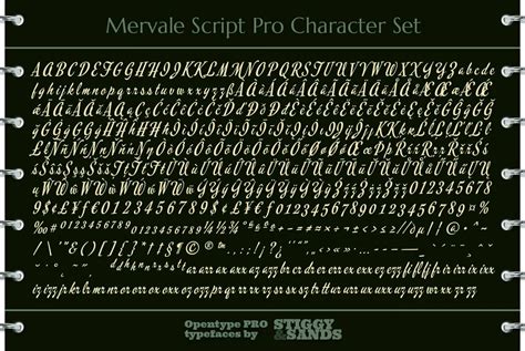 Mervale Script Pro Font Fontpath