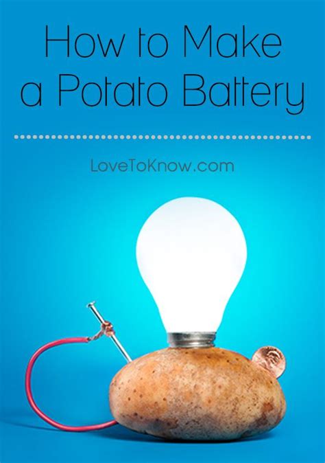 How To Make A Potato Battery In 8 Simple Steps Lovetoknow Science