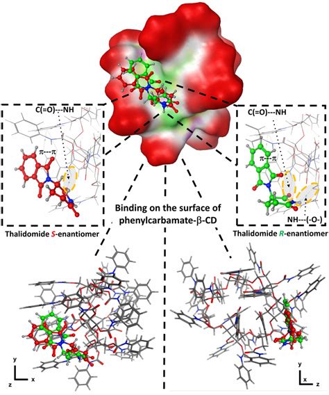 Interactions Between The Best Binding Modes Of Thalidomide Enantiomers