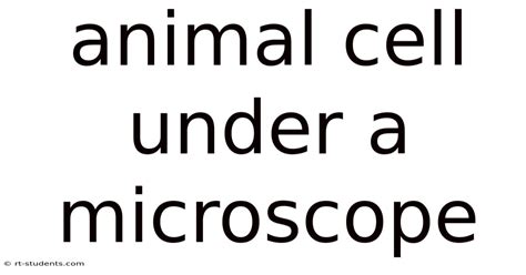 Animal Cell Under A Microscope