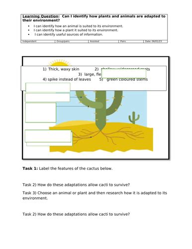 Year 6 Evolution Planning Topic Front Coverworksheets And Slides