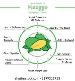 Health Benefits Mango Illustration Ready Use Stock Vector Royalty Free