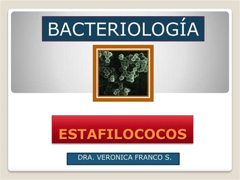 3 Estafilococos Exposicion Dra Franco 2 Xmedical Udocz