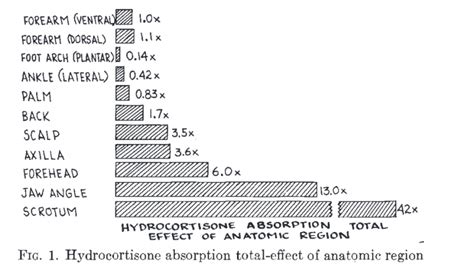 Transdermal Supplements Application Sites And Absorption Rate