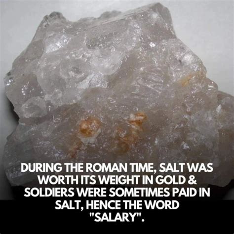 Damir Delić Đuljić Posted On Linkedin