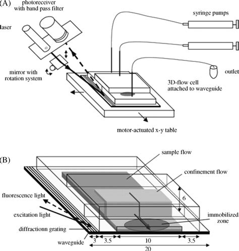 Schematic Representation Of The Sensor And Microfluidic Set Up For