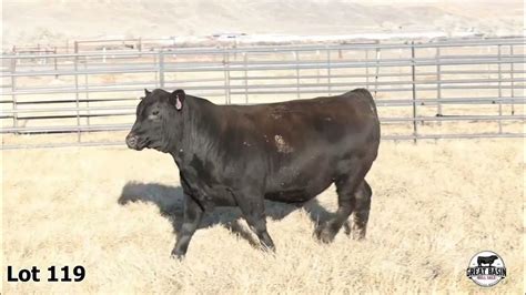 Lot 119 Youtube