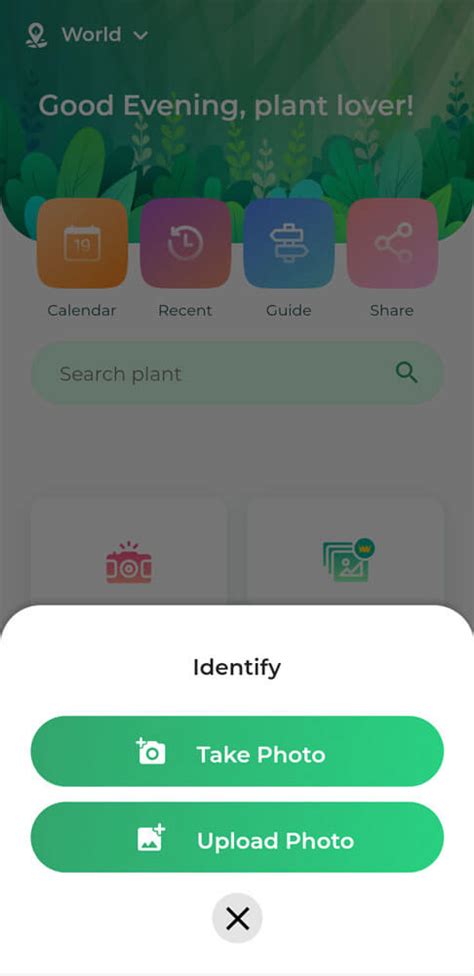 Leafsnap Plant Identification Apps2have
