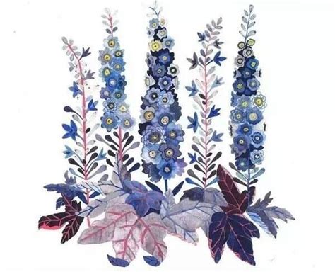 細緻入微的花卉植物插畫 每日頭條