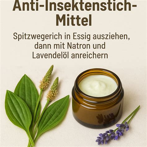 Natürliches Anti Insektenstich Mittel