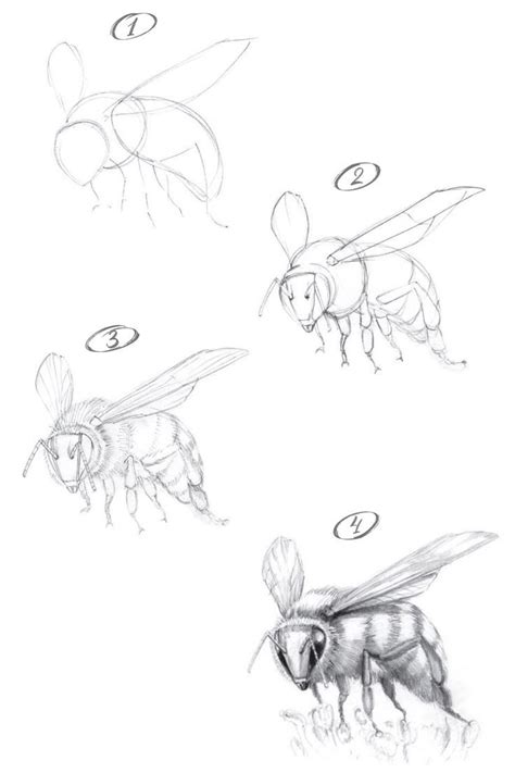 How To Draw A Bee With A Pencil Step By Step Tutorial Artofit
