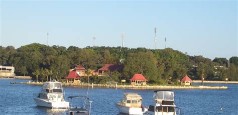 Art And Architecture Mainly Louis Pasteur Rabbits And Sex In Australia