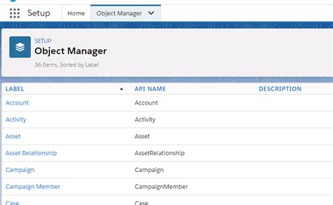 salesforce object manager unleashing efficiency