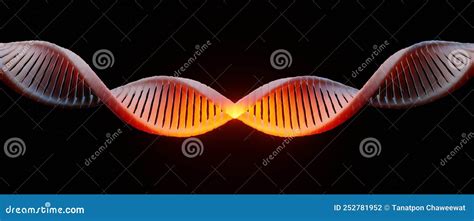 3d Render Helix Complementary Strand Of Dna Of Rna Sequences Genetic Code Or Genome Gene