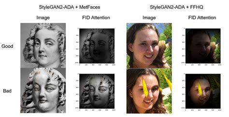 An Analytical Dive Into What Fid Is Measuring