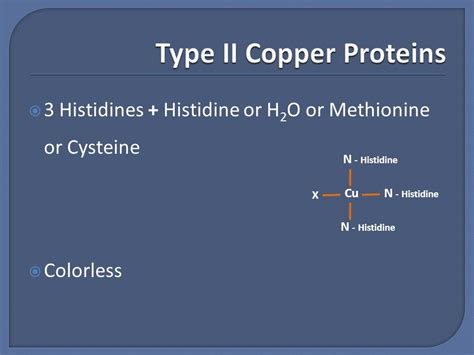 Joana Pinto July Analyse The Structures Of Copper Containing Proteins