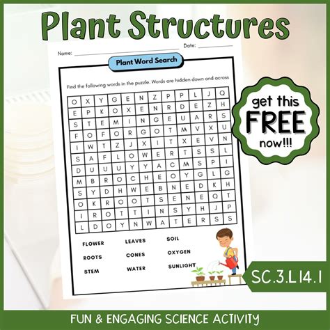 Plant Word Search Answers At Herbert Hamilton Blog