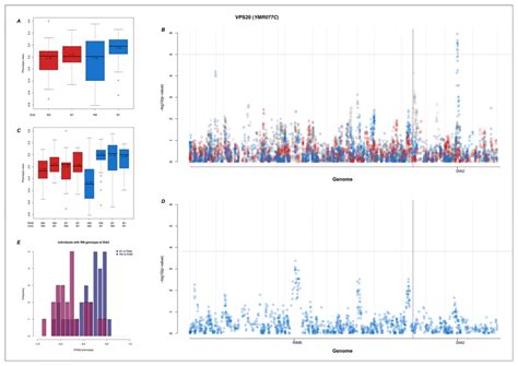 Qtl And Vqtl Regulation Of Vps20 A Expression Of Vps20 For The