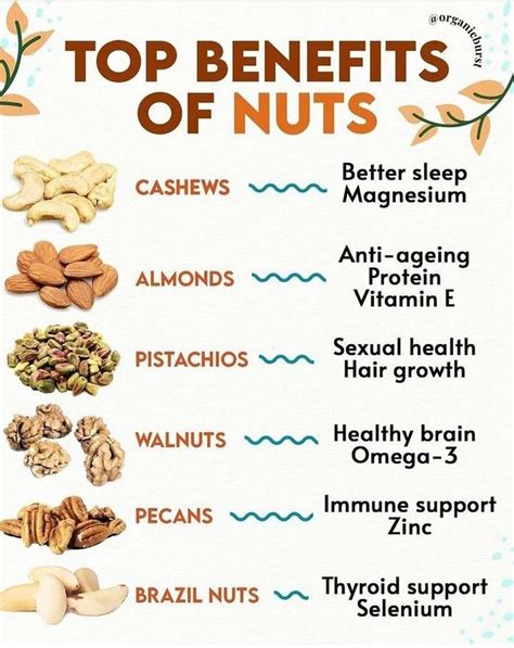 Top Benefits Of Nuts Consumers Association Penang