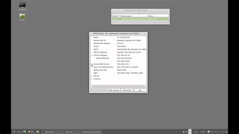 Rockhopper Vpn Vpn Client Demo Linuxmint Cinnamon Youtube