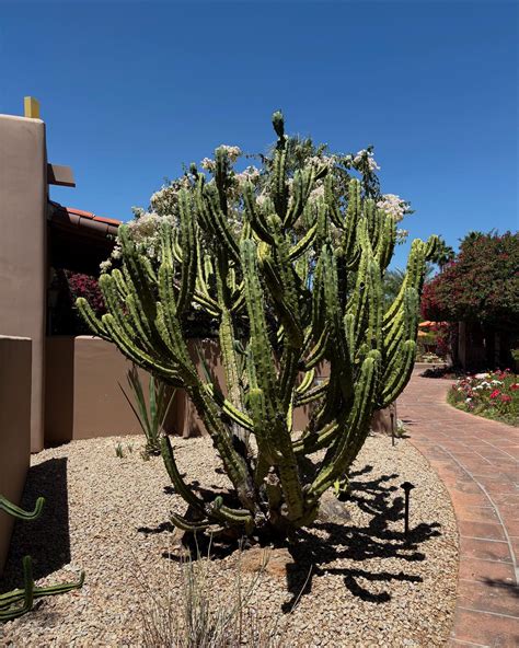 Sophia Rinzema The Highlights Instagram