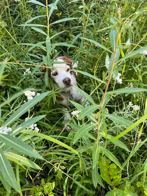 Wenatchee Naturalist Added A New Photo Wenatchee Naturalist