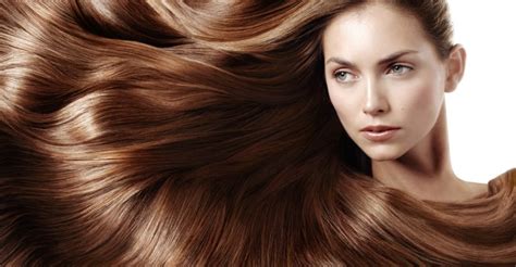 5 Hábitos Simples Para Você Cuidar Do Cabelo Salão De Beleza E